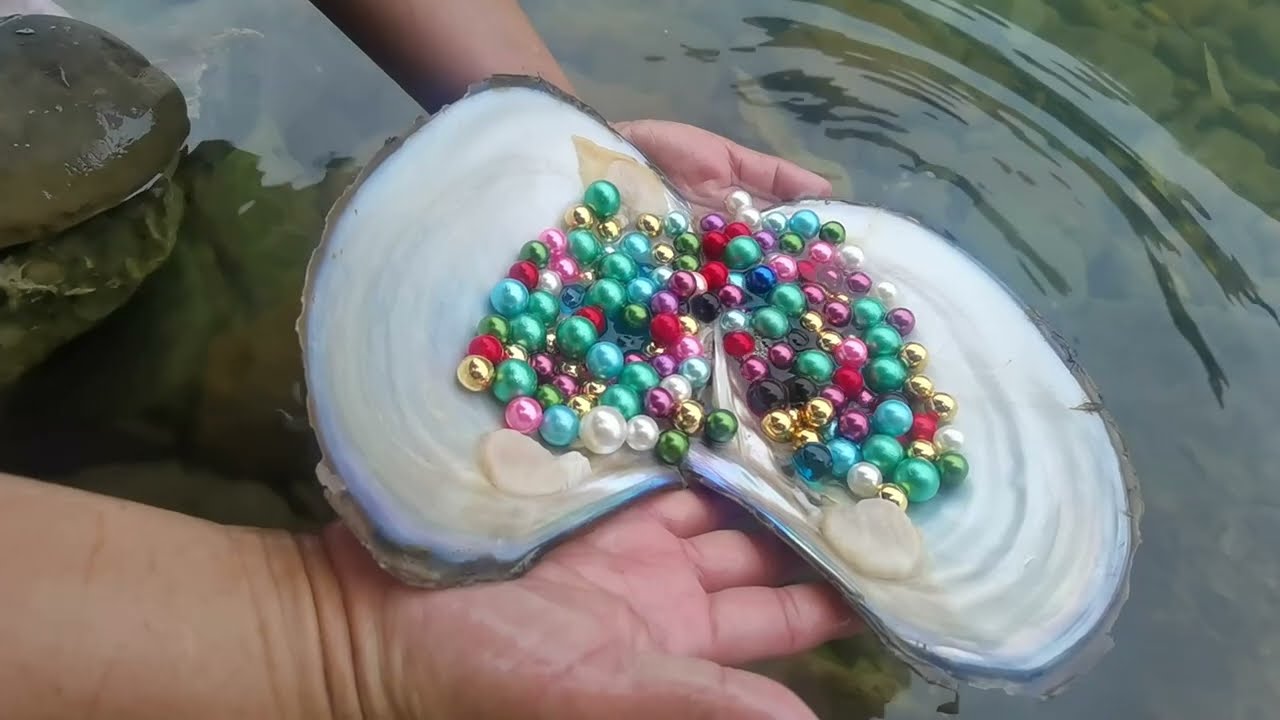 Wow! This color of pearl, love, love! Big clams bloom beautiful pearls ...
