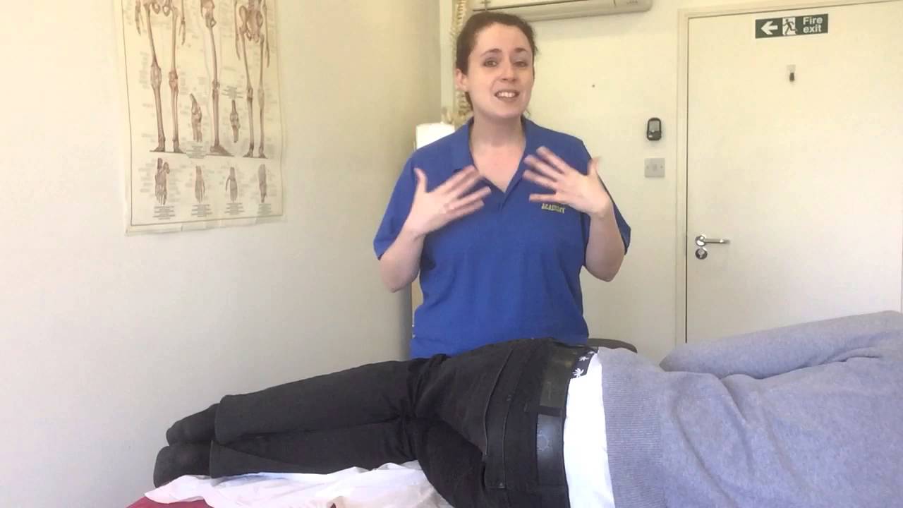 Anatomy corner video 2 - YouTube