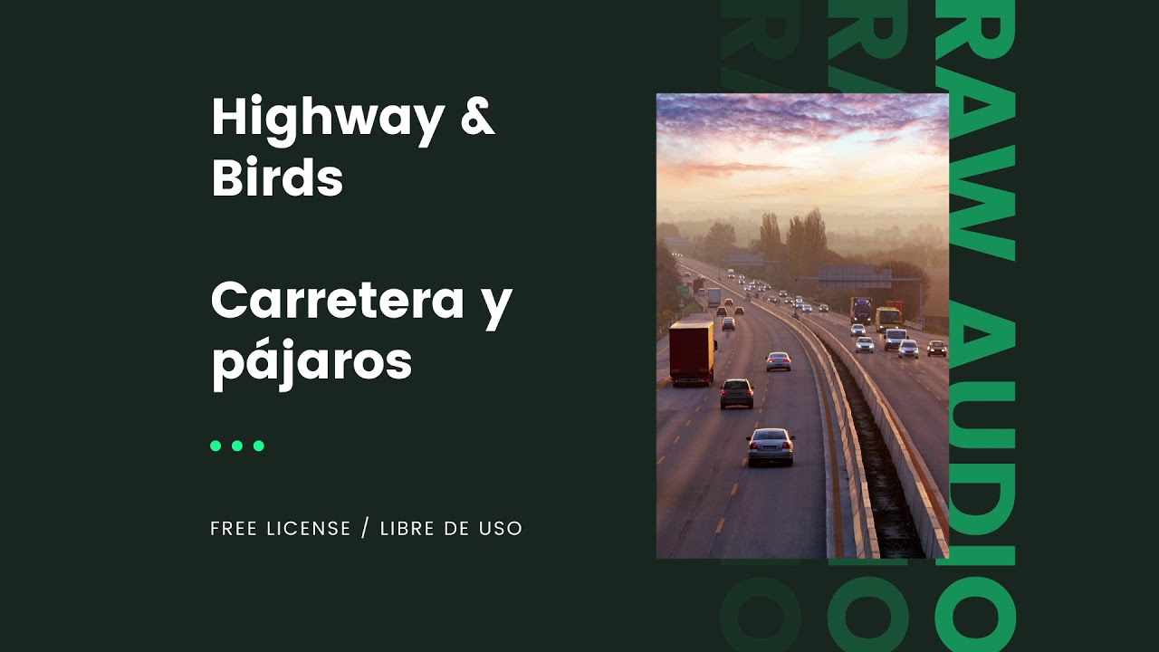 Highway & Birds / Carretera y Pájaros - YouTube