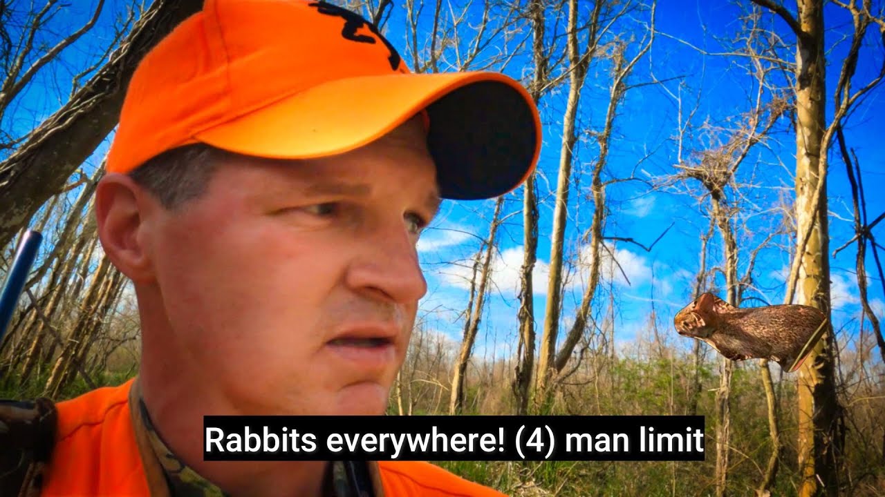 Rabbits Everywhere. (4) Man Limit Rabbit Hunting - YouTube