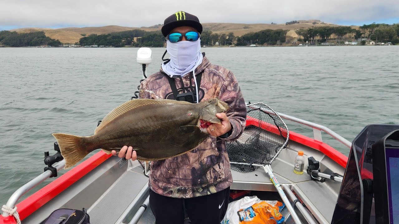 Tomales Bay | Halibut Fishing 2025 - YouTube