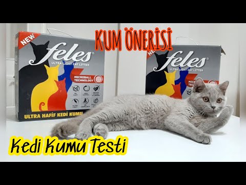KEDİ KUMU TESTİ, EN İYİ TOPAKLANAN KUM (Feles Kedi Kumu, Kum Önerisi)