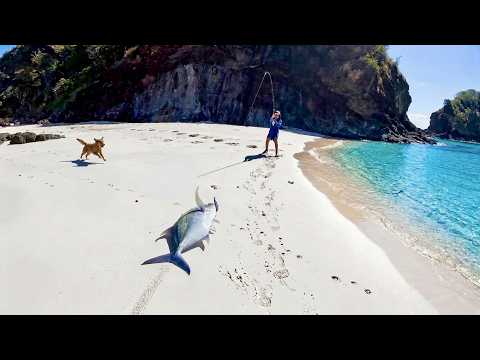 We Found a SECRET Beach Full of Giant Fish!