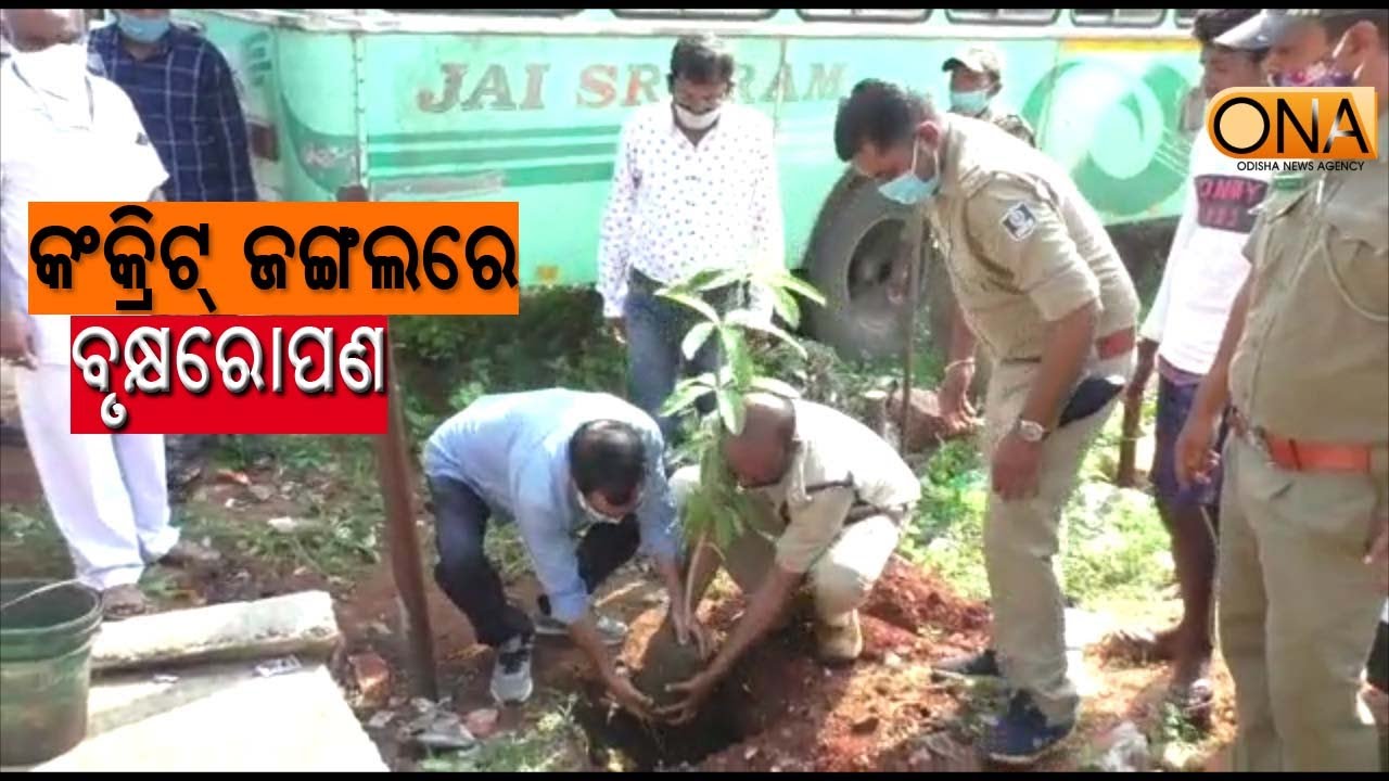 କଙ୍କ୍ରିଟ୍ ଜଙ୍ଗଲରେ ବୃକ୍ଷରୋପଣ କାର୍ଯ୍ୟକ୍ରମ // Kankrit Jangalare Brukhya ...