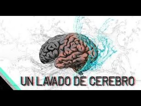 Mas pruebas contra Francisca Serrano y trading y bolsa para torpes ...