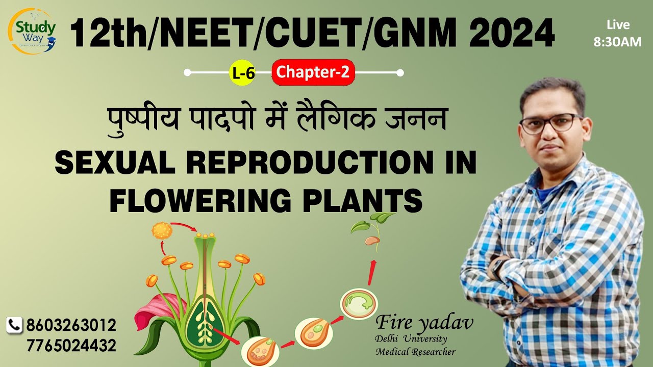 SEXUAL REPRODUCTION IN FLOWERING PLANTS || 12 crash course||chapter-2 L ...