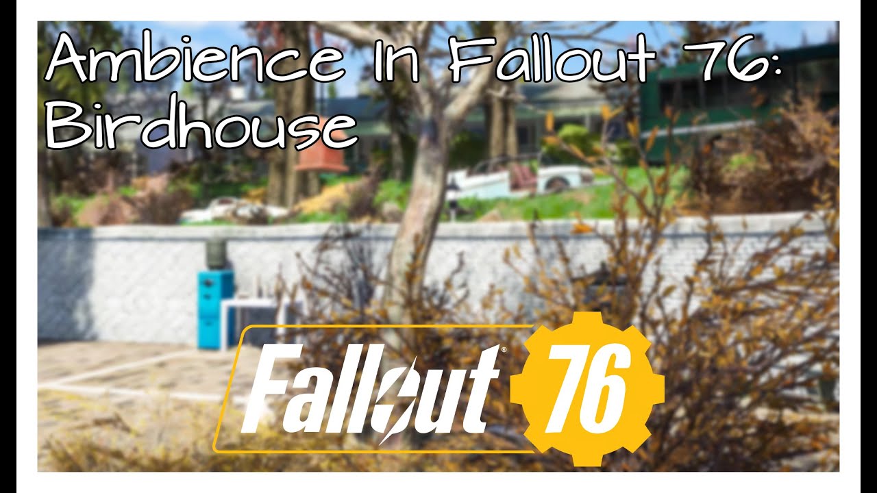 Ambience In Fallout 76: Birdhouse - YouTube