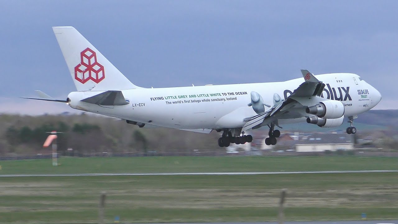 [4K] Cargolux Boeing 747-400 Beluga Whale Livery Evening Landing at ...