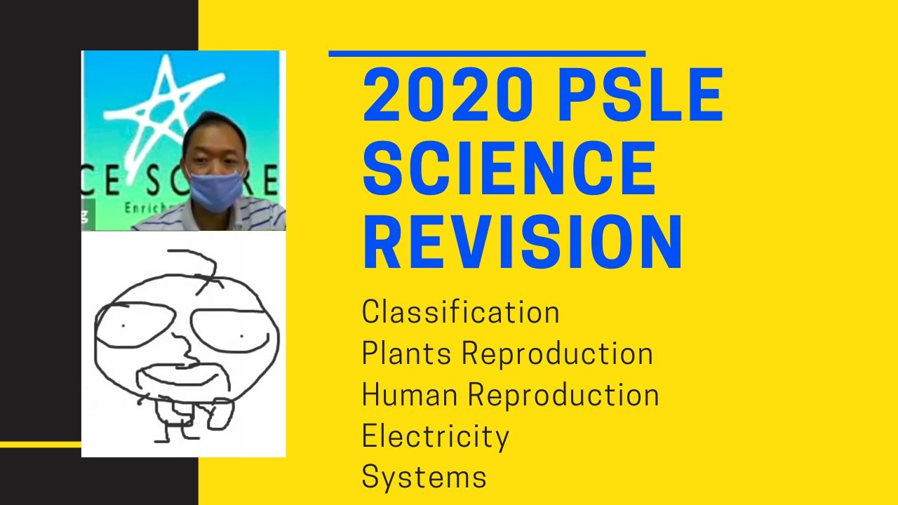 2020 PSLE Science Revision - classification, systems, reproduction in ...