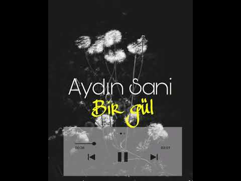 Aydın Sani - Bir gül / 2020