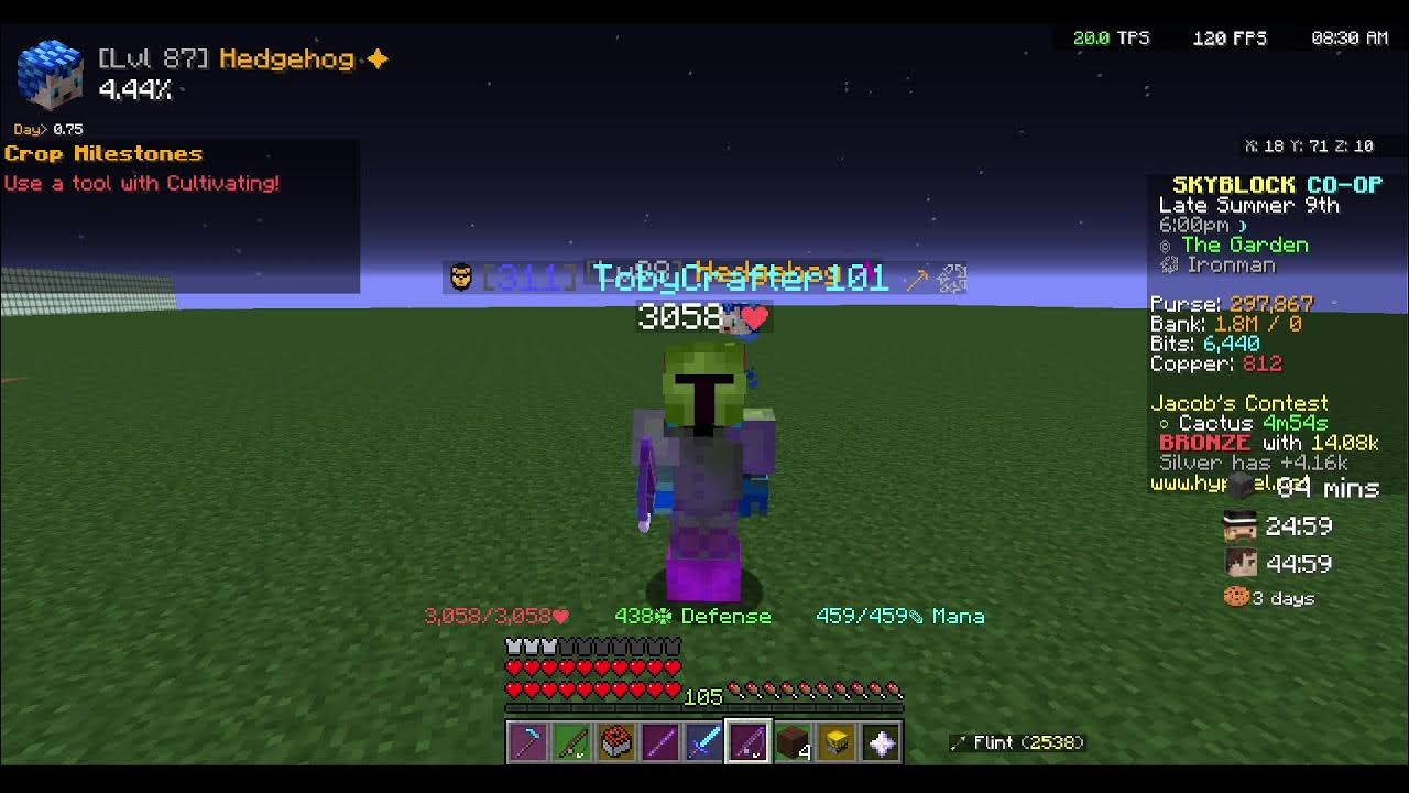 Hypixel Skyblock - YouTube