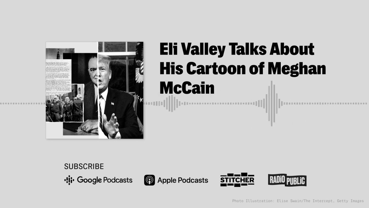 Eli Valley Talks About His Cartoon of Meghan McCain - YouTube
