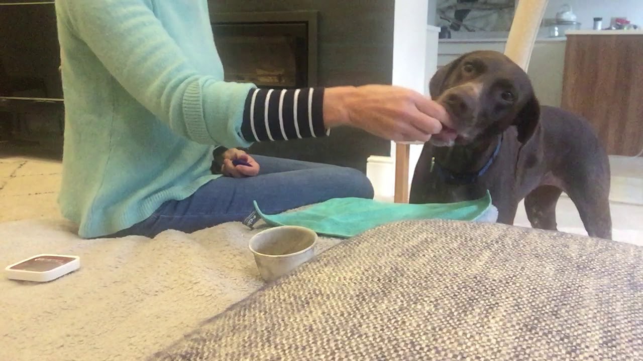 Loopy Training 45 - YouTube