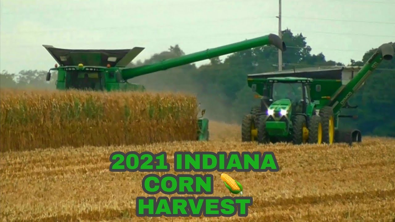 CORN HARVEST 🌽 2021 JOHN DEERE s680 COMBINE 16 ROW CORN HEAD - YouTube