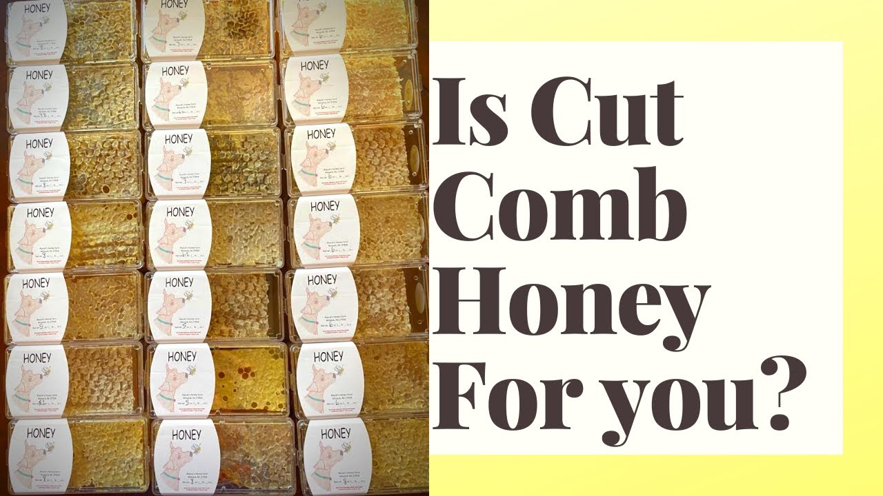 Harvesting Honey: Cut Comb Honey Beginner Beekeeper Episode 29 - YouTube