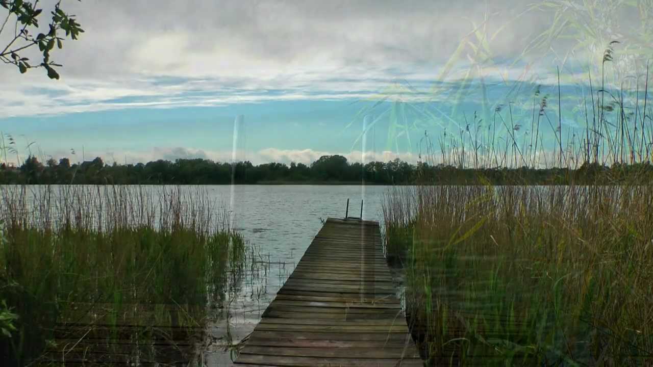Natur: Sommer und Herbst in Schleswig Holstein - Ostholstein - Eutin ...