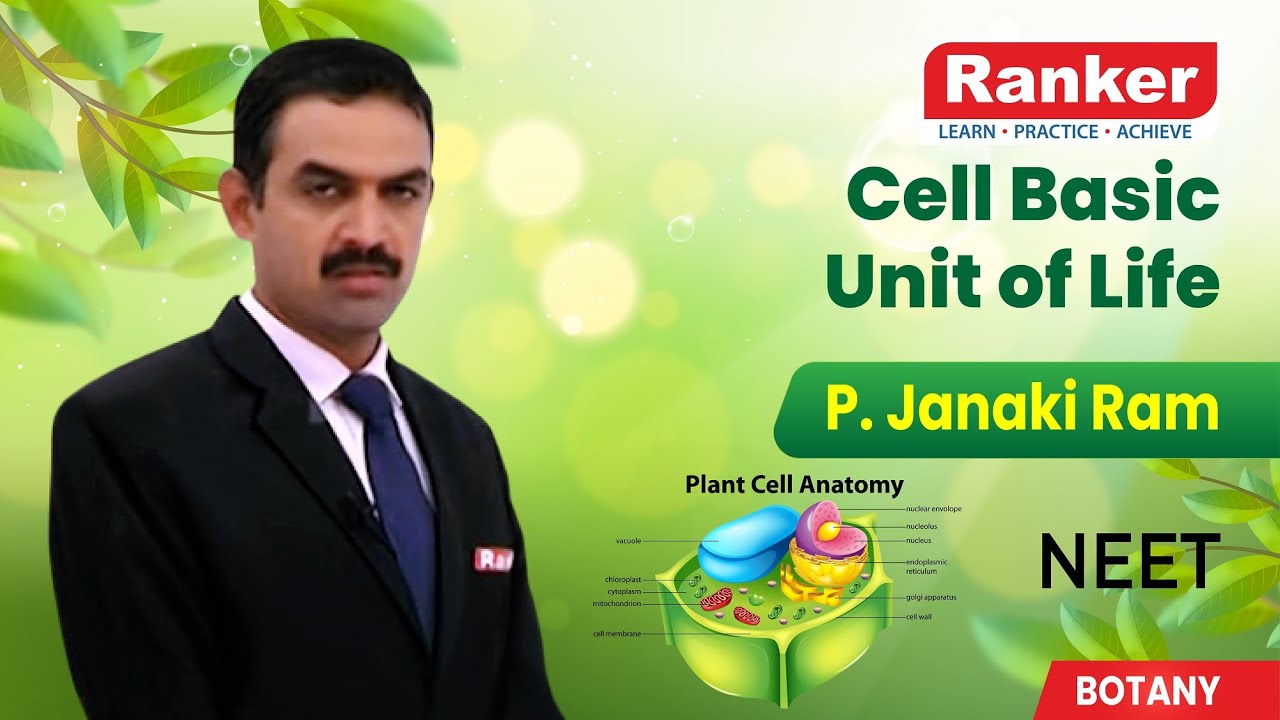 Cell Structure and Functions | Cell and Its Organelles | Cell Basic ...
