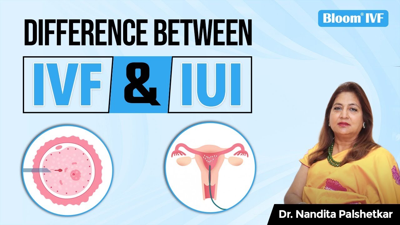Difference Between IVF and IUI | Which one is best IUI vs IVF? | Bloom ...