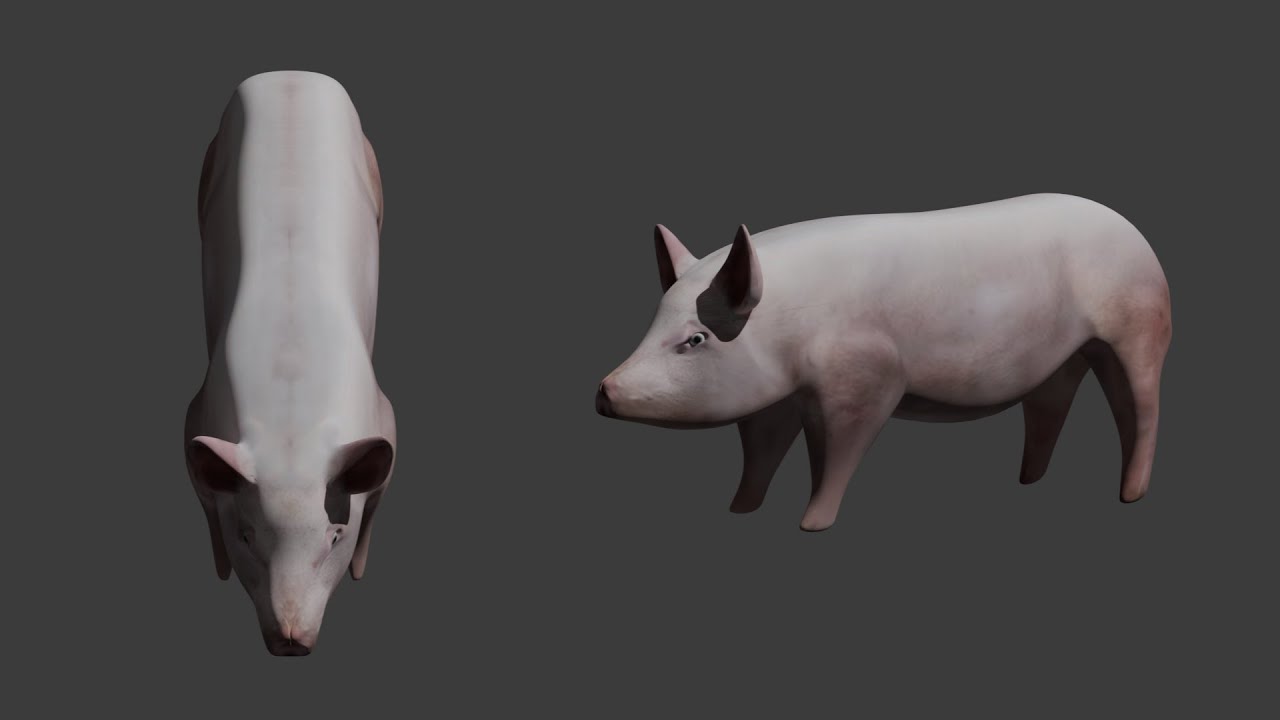 Blender 4.11 timelapse Animal Modeling Pig - YouTube
