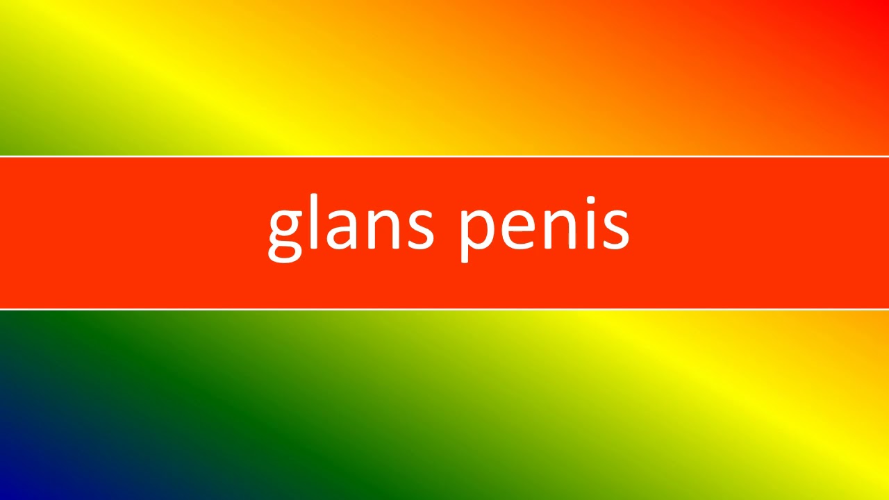 GLANS PENIS - YouTube