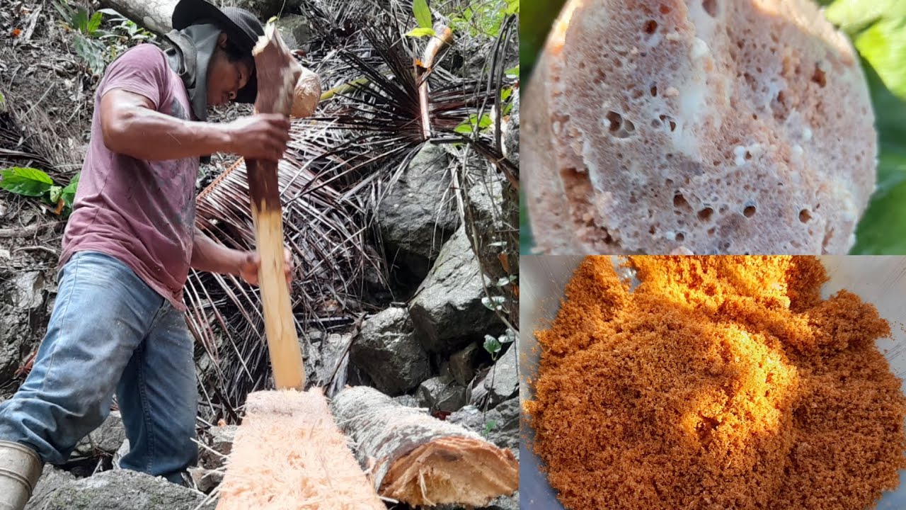 SPECIAL FLOUR made from Palm tree w/c make PUTO very delicious.We call ...