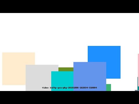 Video #sftp-gcs-pkg-20191006-182034-310804