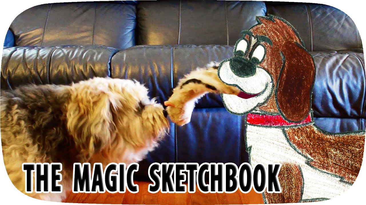 The Magic Sketchbook - YouTube