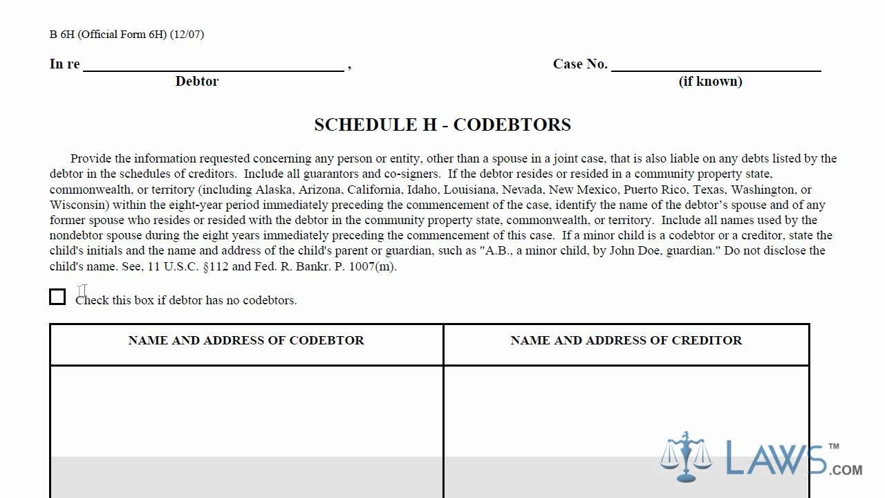 Learn How to Fill the Form B-6 H Schedule H - Codebtors - YouTube