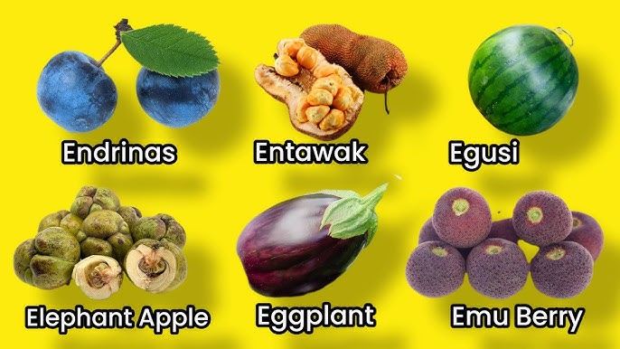 NOMBRES DE FRUTAS QUE EMPIEZAN CON LA LETRA E🦐 Aposte com confiança na ... NOMBRES DE FRUTAS QUE EMPIEZAN CON LA LETRA E🦐 Aposte com confiança na ...