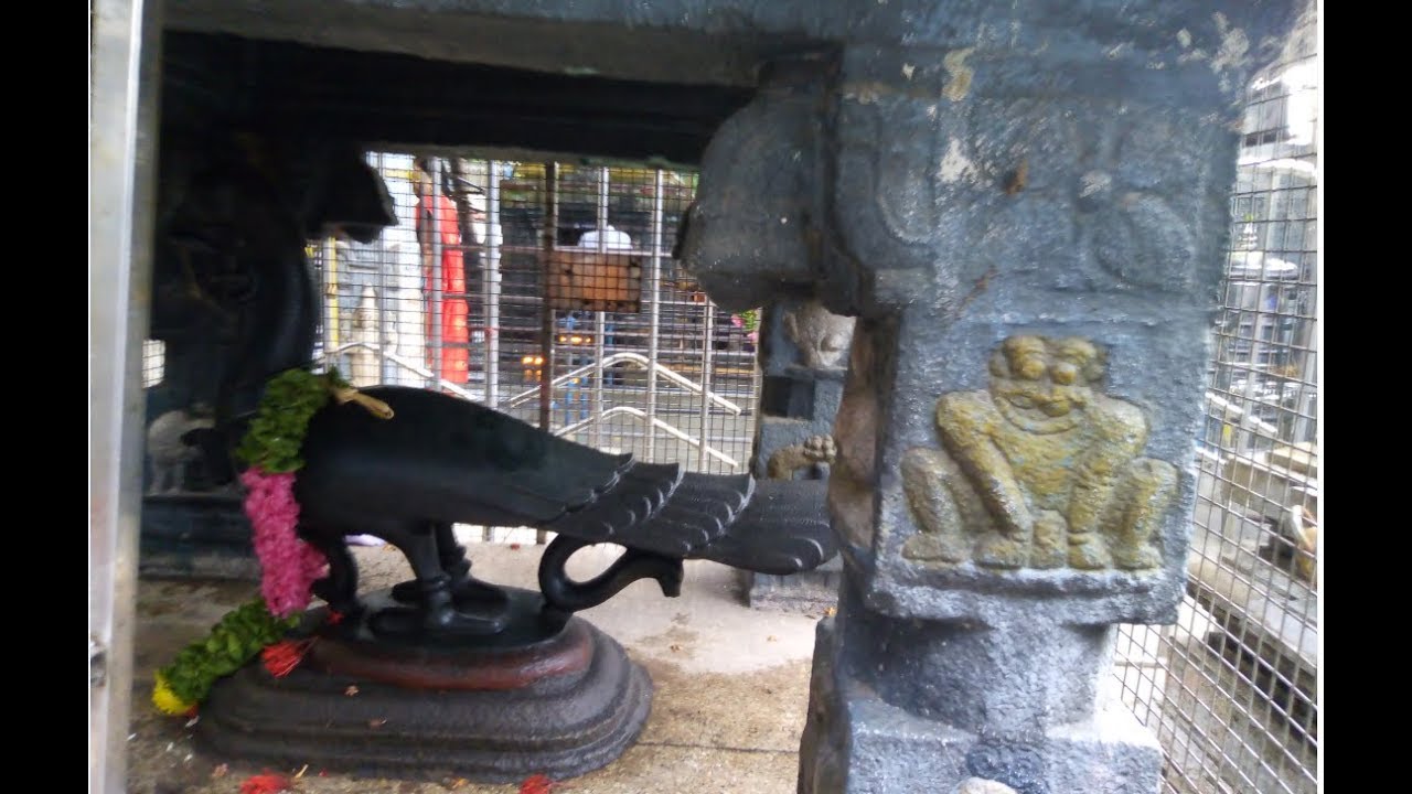 சிறுவாபுரி முருகன் கோவில் மரகத மயில் வீடியோ! Siruvapuri Murugan ...