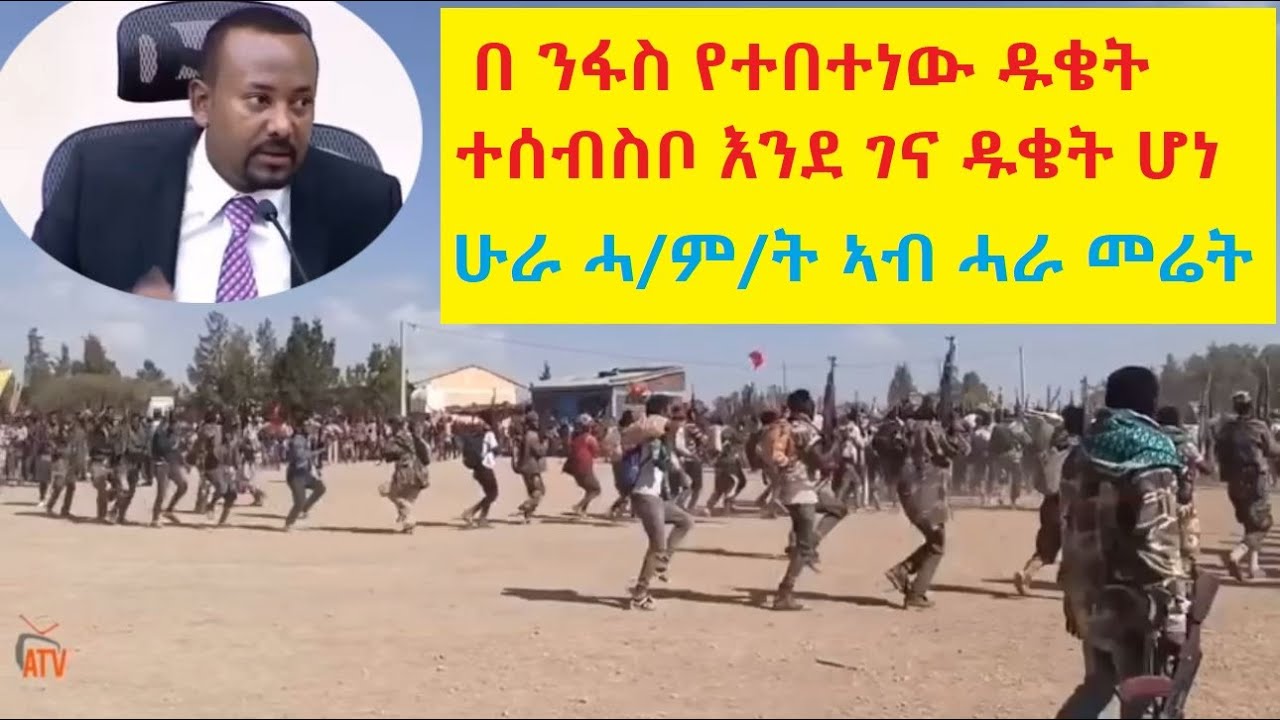 " በ ንፋስ የተበተነው ዱቄት ተሰብስቦ እንደ ገና ዱቄት ሆነ " - Tigray Defense Forces TDF ...