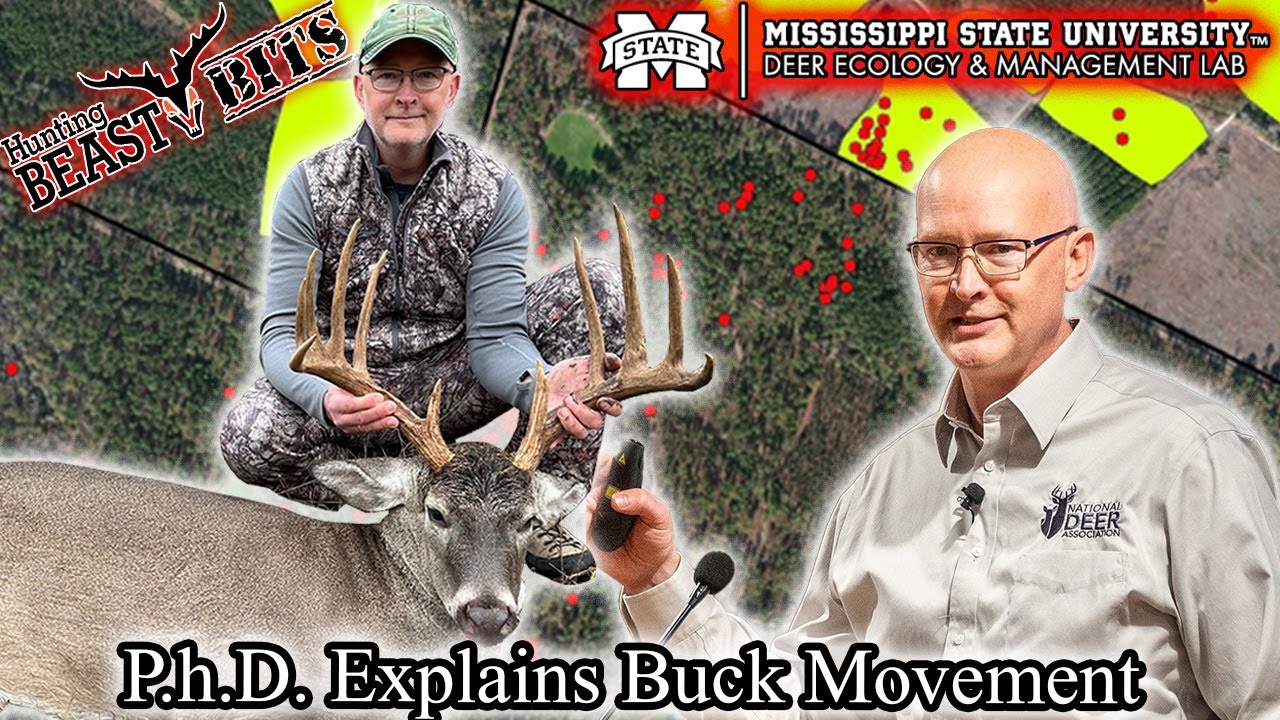 Ph.D. Deer Biologist Dr. Bronson Strickland Explains Peak Buck Movement ...
