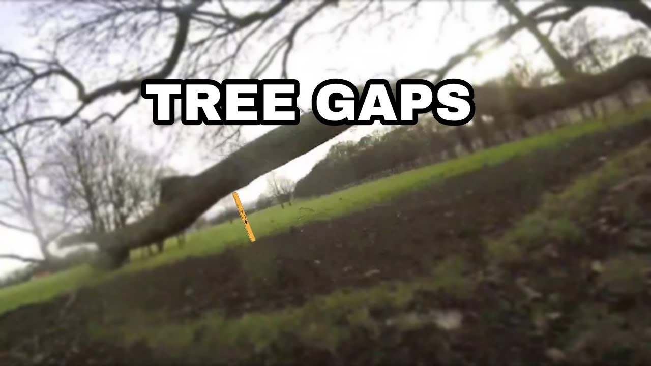 Tree gaps! - YouTube