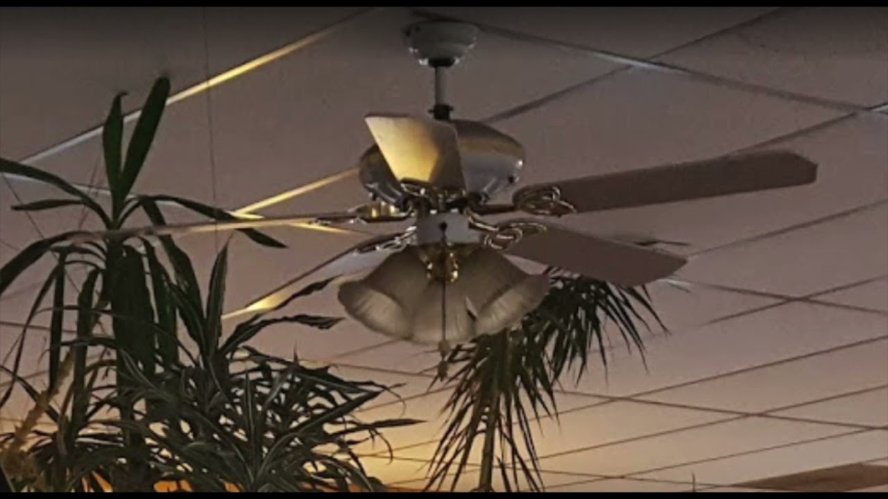 Encon Ceiling Fan Remote | Shelly Lighting