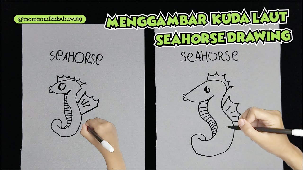 Menggambar Kuda Laut - Seahorse Drawing - YouTube