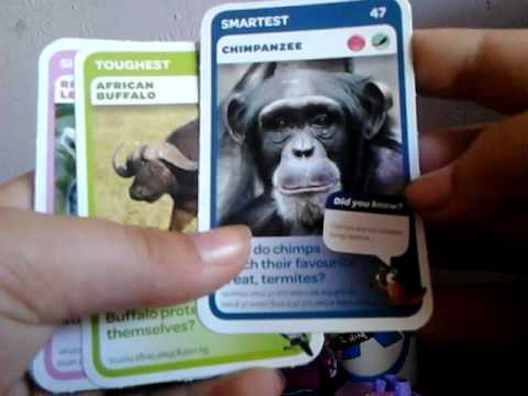 Super animals cards adding to the book - YouTube