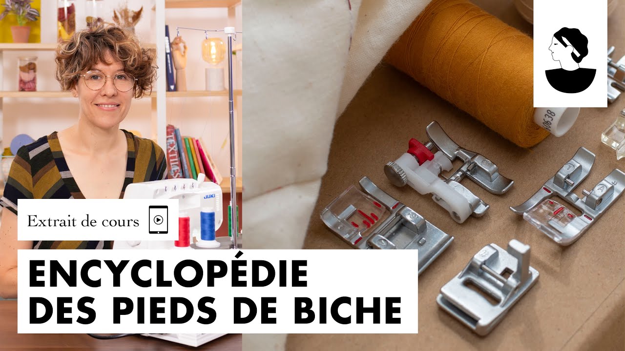 Extrait de cours: L'encyclopédie des pieds de biche - YouTube