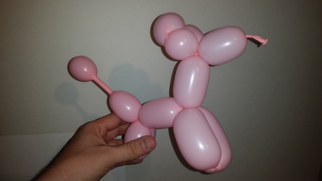 How to make a Balloon puppy dog!! DIY your own balloon dog. - YouTube