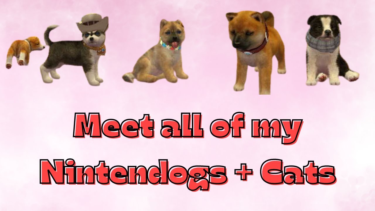 Meet All My Nintendogs + Cats! | November 2023 - YouTube