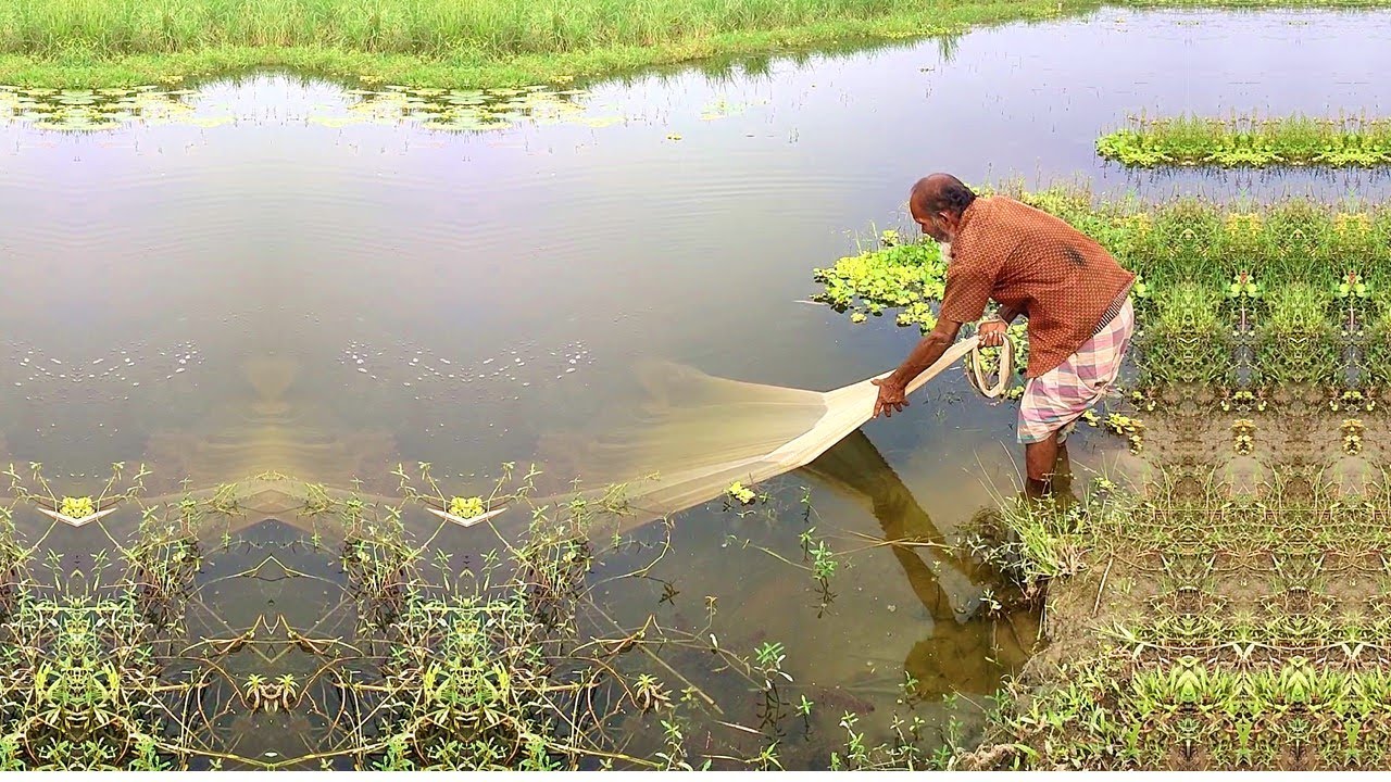 Best Net Fishing New Video - Poor Fisherman Catching Fish - Old Grandpa ...