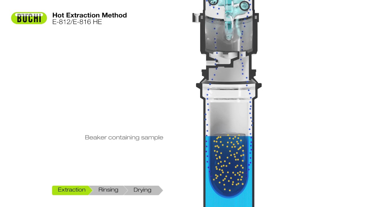 Buchi Extraction - YouTube