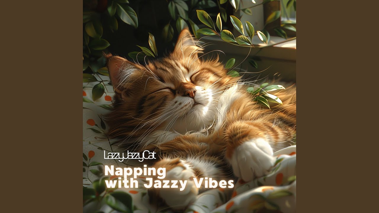 Jazz Paws for Cats - YouTube
