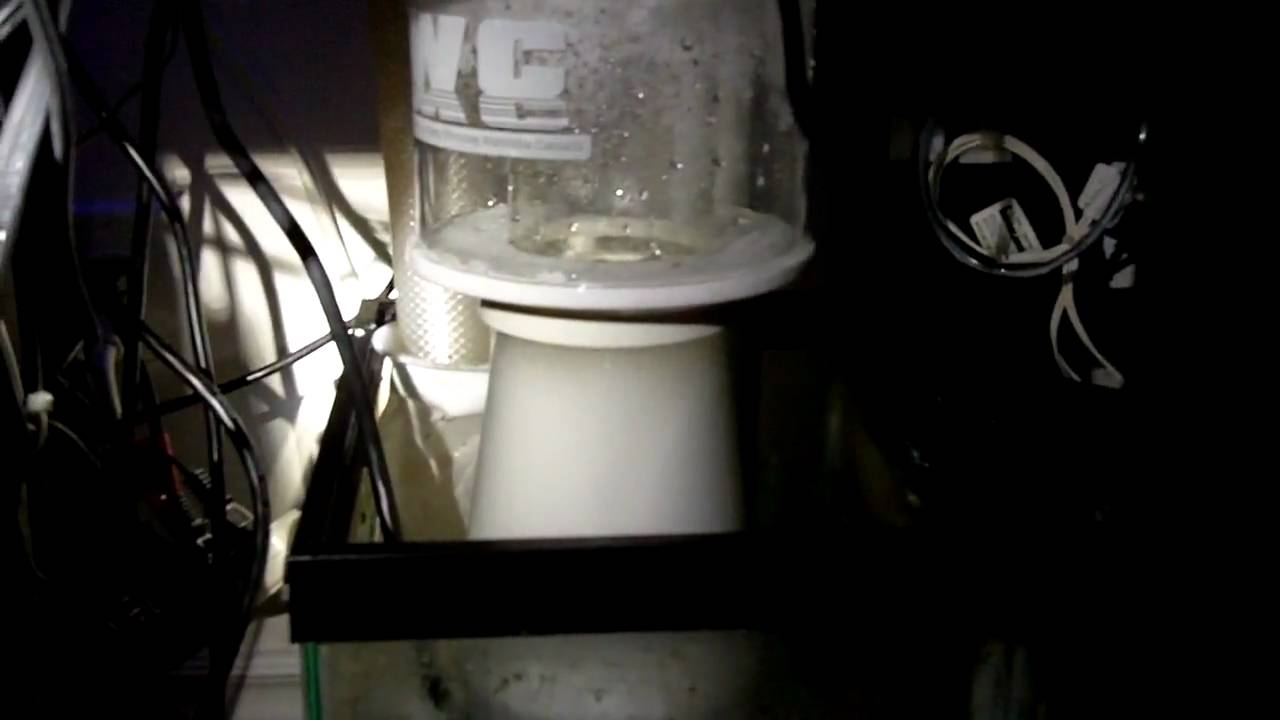 SWC 160 mini cone skimmer right after setting it up - YouTube