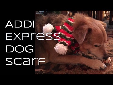Addi Express Dog Scarf Tutorial - YouTube