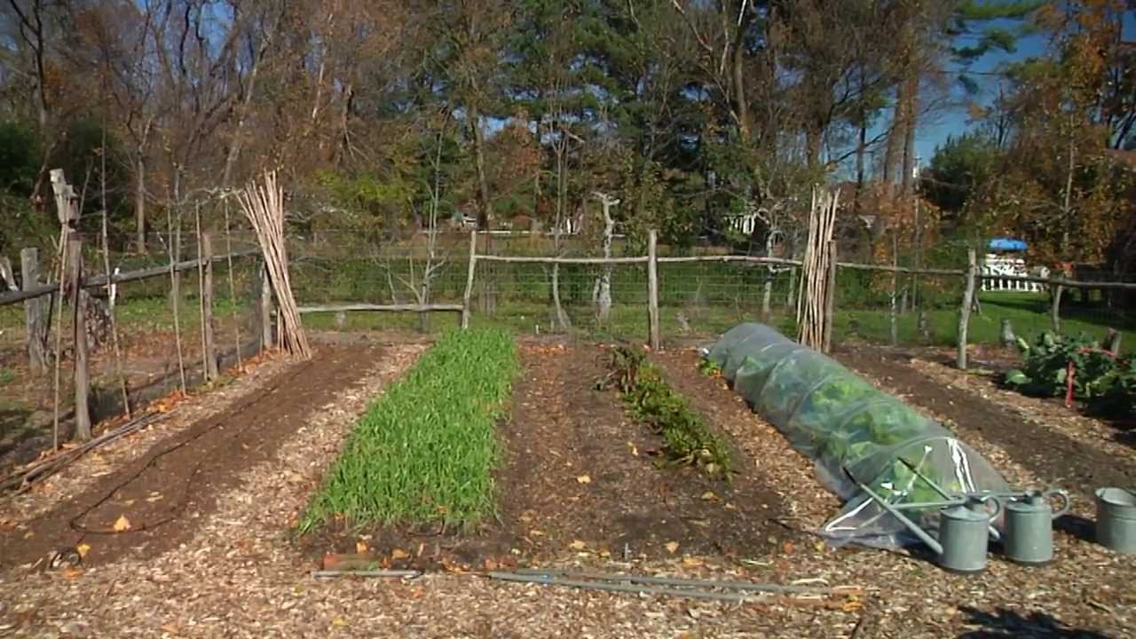Lee Reich Weedless Gardening How To Get Rid Of Weeds | Organic