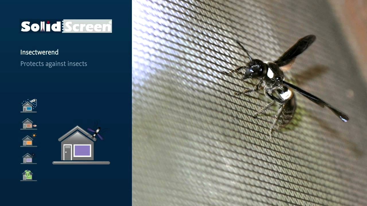 SolidScreen HD - YouTube