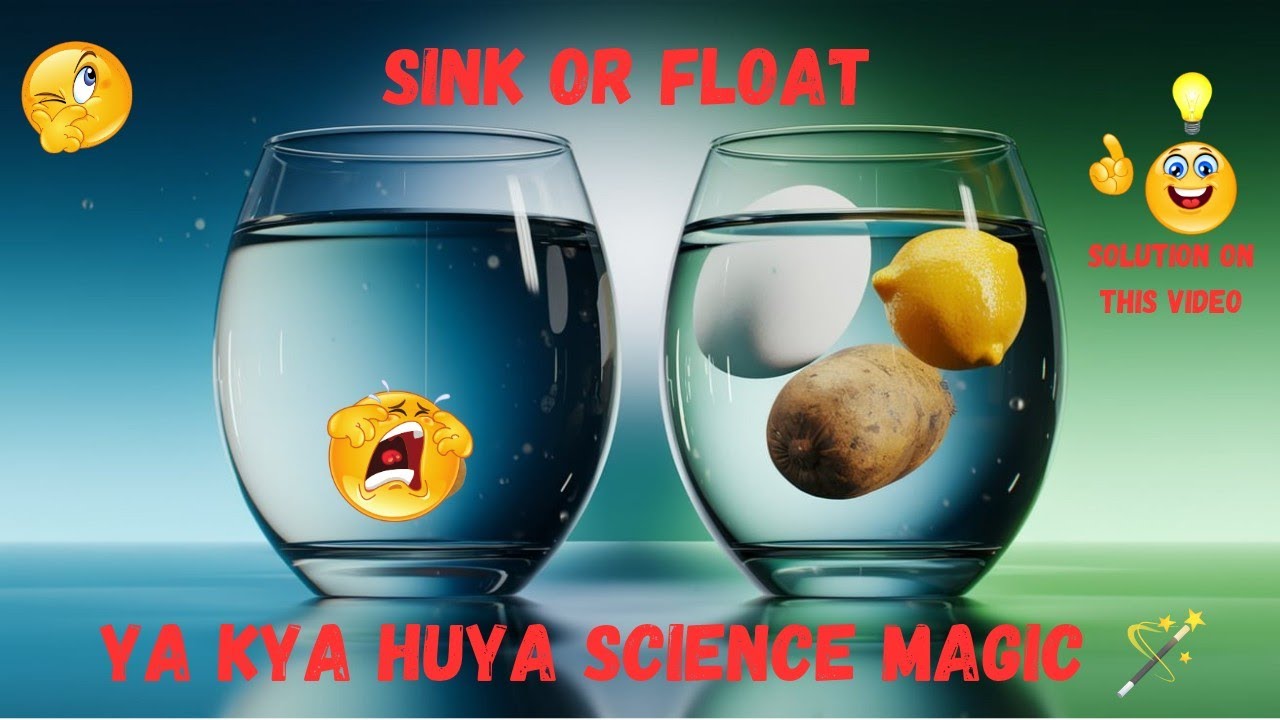 Salt+water=Lemon,Eggs,Patato float in water science experiment for kids ...