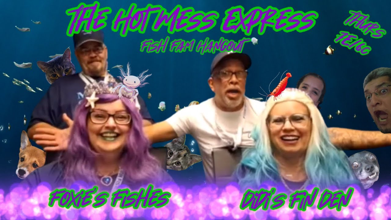 The Hot Mess Express #129 Fish Fam Hangout! - YouTube