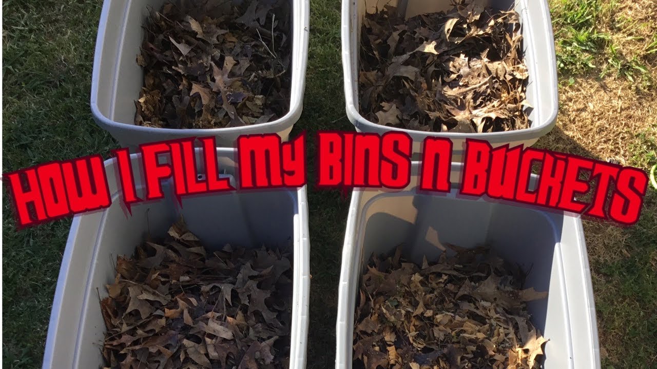 How I fill up my bins Buckets the economical way! - YouTube