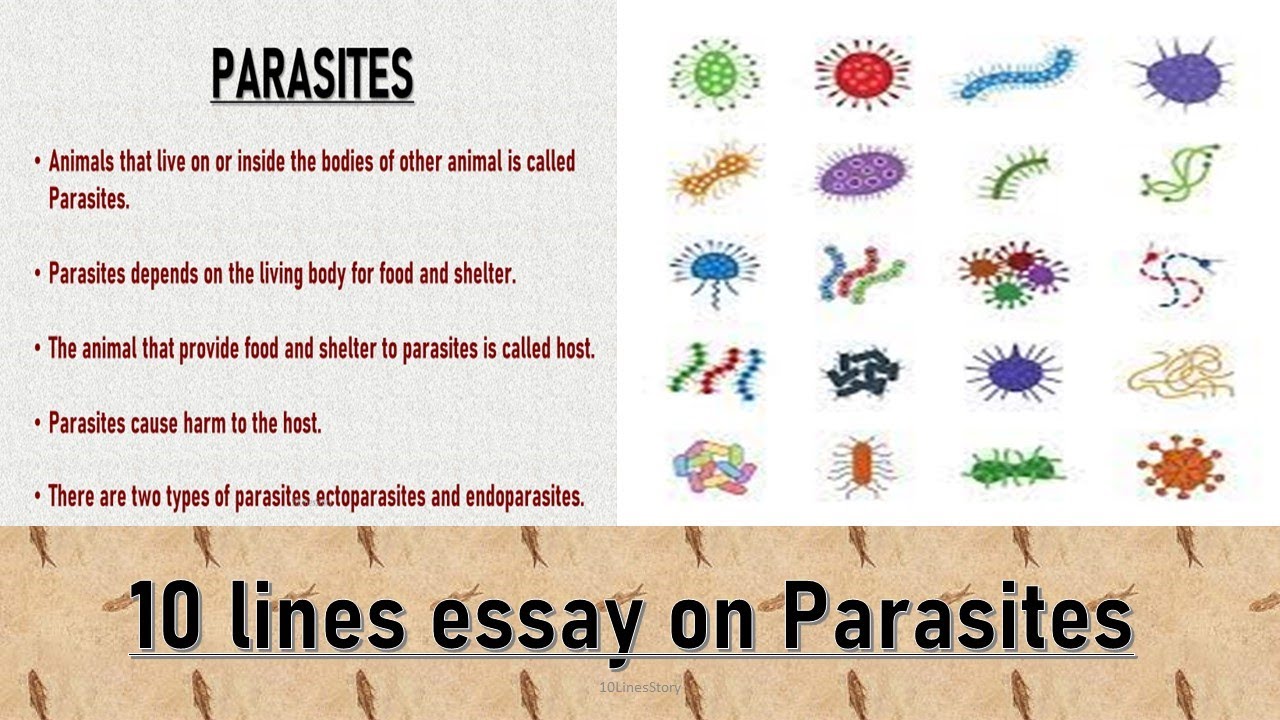 Parasites essay in 10 lines||10 lines on Parasites||English essay - YouTube